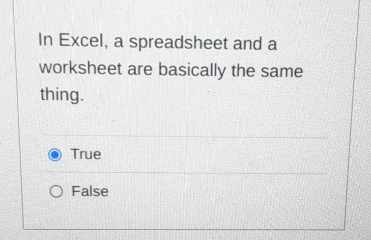 Solved In Excel, a spreadsheet and a worksheet are basically | Chegg.com