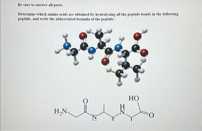 Solved H₂N Leftmost amino acid: (select) Middle amino acid: | Chegg.com