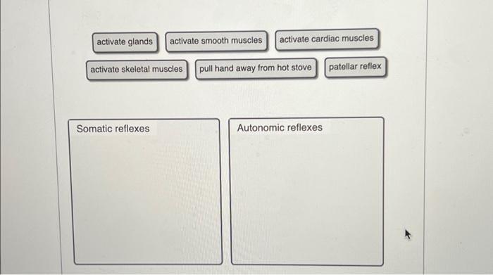 Solved activate glands activate smooth muscles activate | Chegg.com