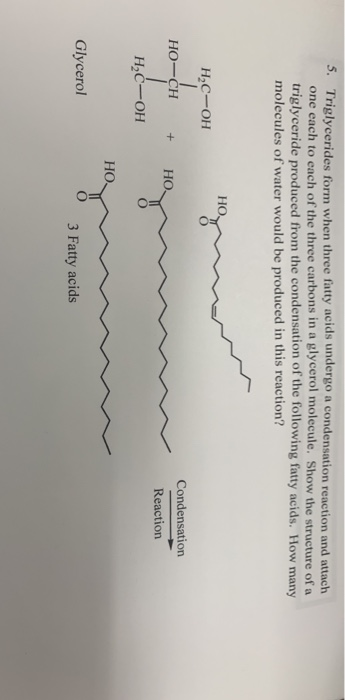 Solved 5. Triglycerides form when three fatty acids undergo | Chegg.com