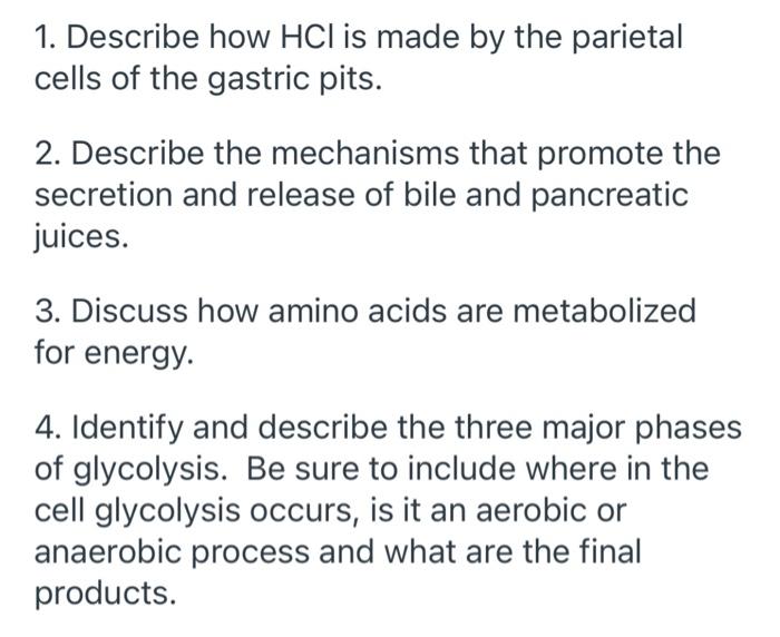 Solved 1. Describe how HCl is made by the parietal cells of | Chegg.com