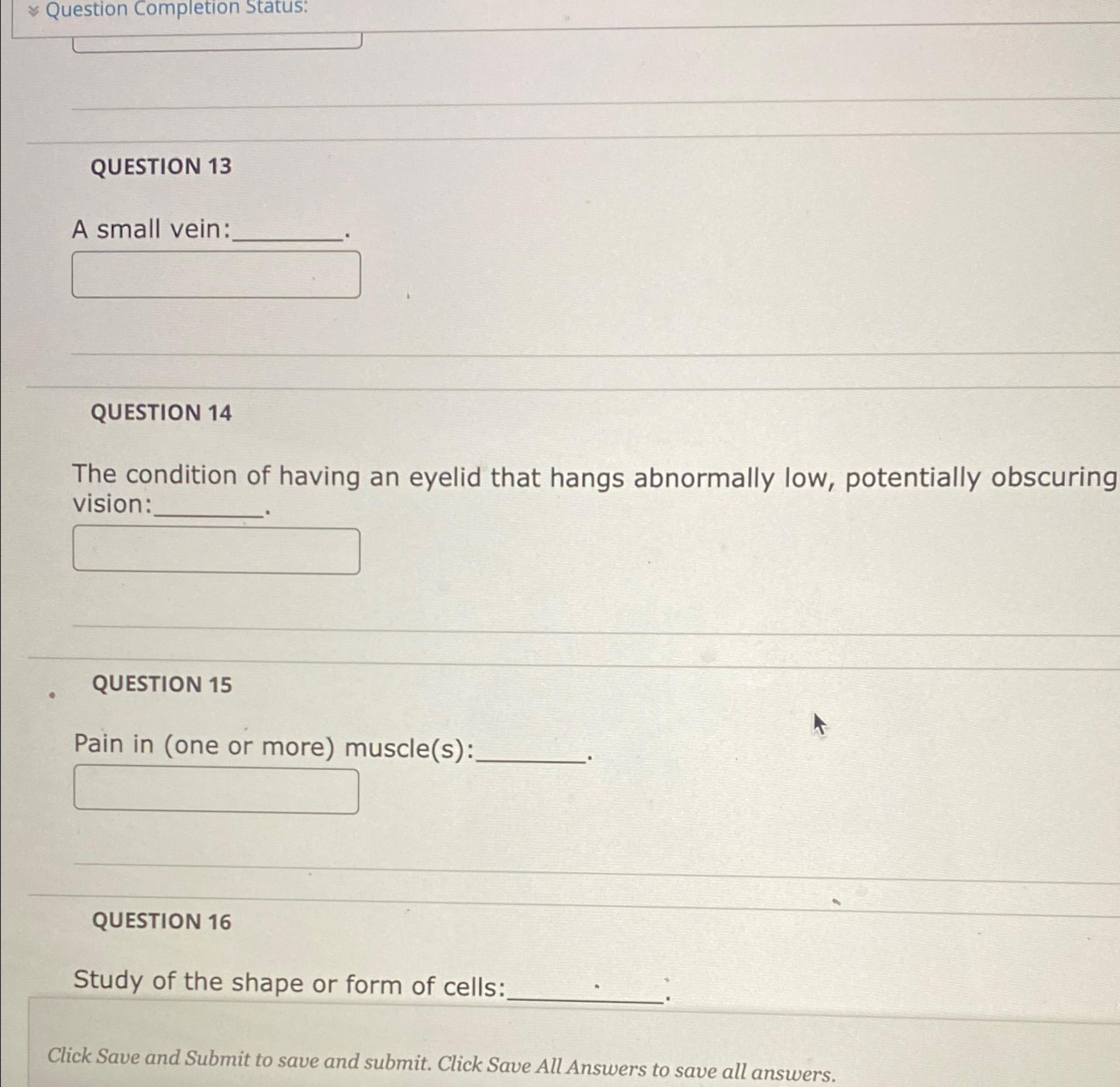 Solved Question Completion Status:QUESTION 13A small | Chegg.com