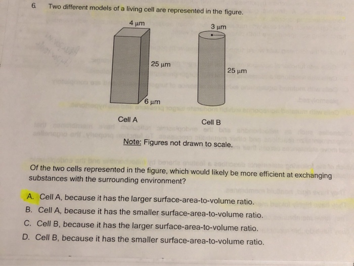 Solved can somehelp me calculate this! i know its A but i | Chegg.com Solved can somehelp me calculate this! i know its A but i | Chegg.com