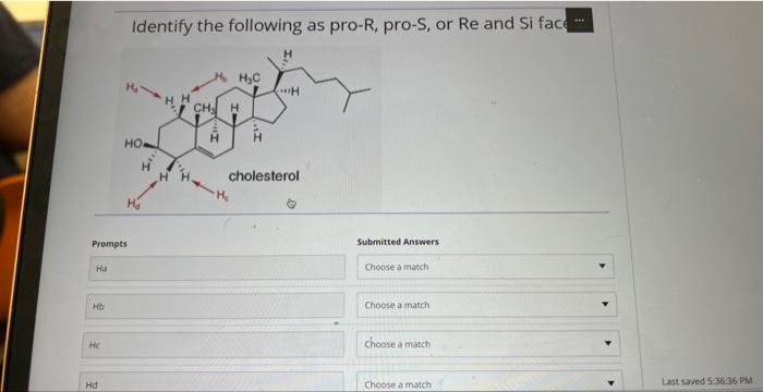 Solved Identify the following as pro-R, pro-S, or Re and Si | Chegg.com