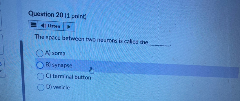 Solved Question 20 (1 ﻿point)The space between two neurons | Chegg.com