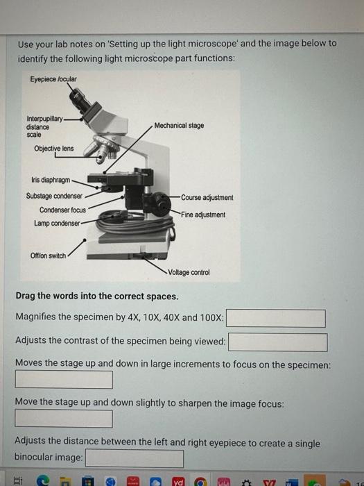 Solved Use your lab notes on 'Setting up the light | Chegg.com
