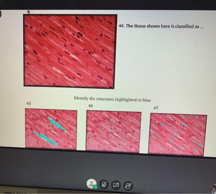 Solved 42. Identify the highlighted structures... 43. The | Chegg.com