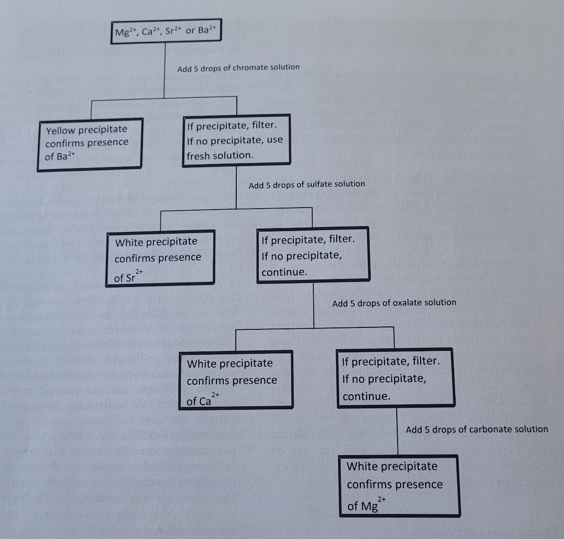 Solved Go through the cation analysis flowchart and make | Chegg.com