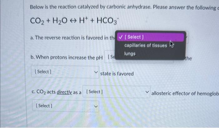 Solved Below is the reaction catalyzed by carbonic | Chegg.com