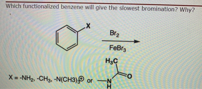 Solved Which functionalized benzene will give the slowest | Chegg.com