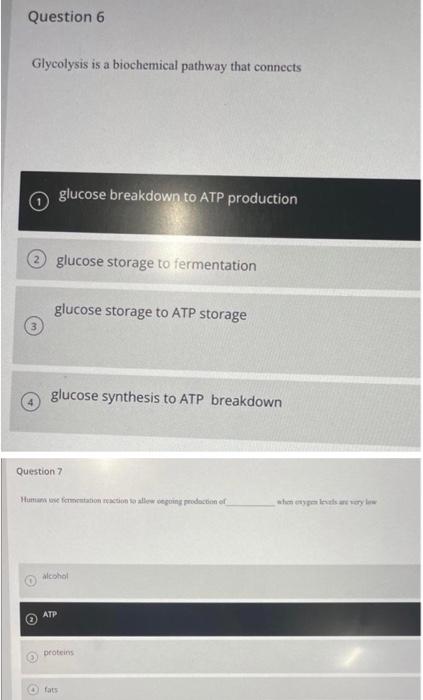 Solved could you please check my answers to see if they are | Chegg.com