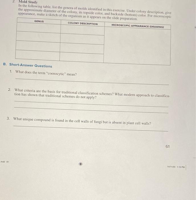 Solved 2. Mold Study In the following table, list the genera | Chegg.com