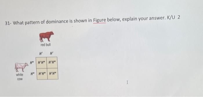 Solved 31- What pattern of dominance is shown in Figure | Chegg.com