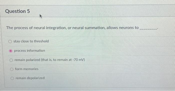 Solved The process of neural integration, or neural | Chegg.com