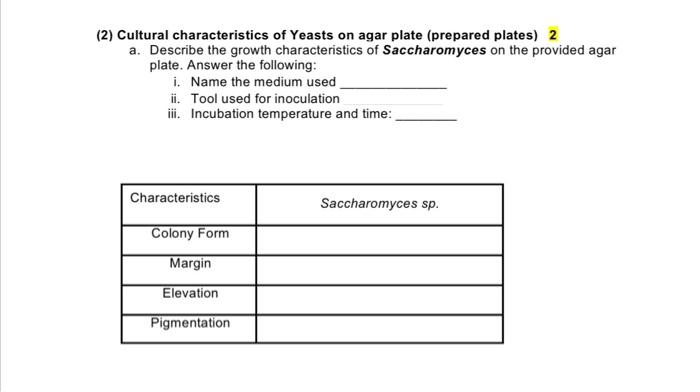 Solved Yeast Morphology and cultural characteristics 1. | Chegg.com