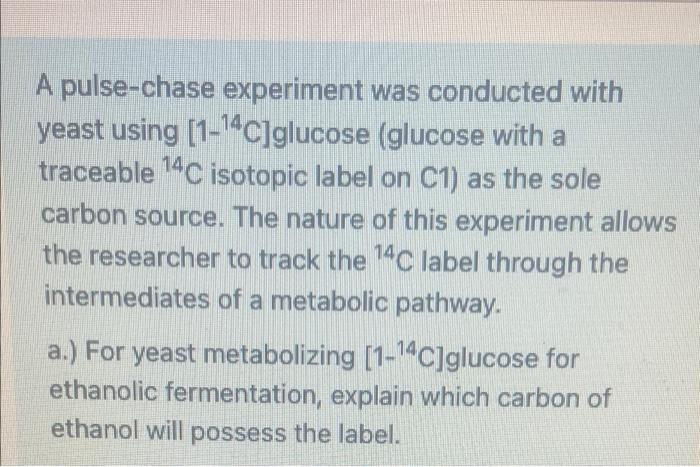 Solved A pulse-chase experiment was conducted with yeast | Chegg.com
