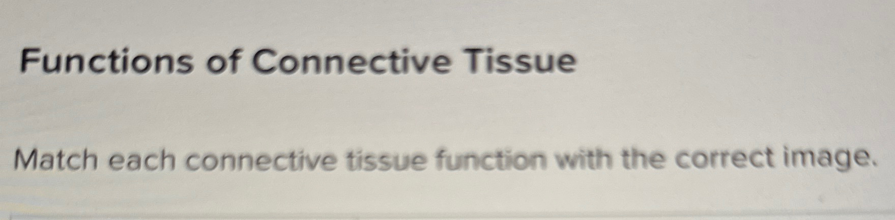 Solved Functions of Connective TissueMatch each connective | Chegg.com