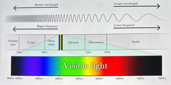 Solved Shorter wavelength Longer wavelength Higher frequency | Chegg.com