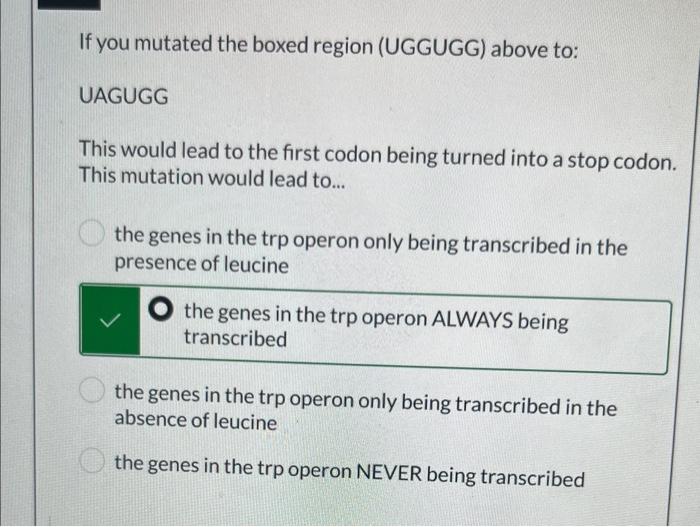 Solved If you mutated the boxed region (UGGUGG) above to: | Chegg.com