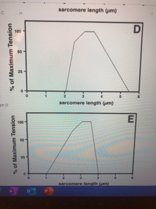 Solved Q5.1 Part A 3 Points Which of the following graphs | Chegg.com