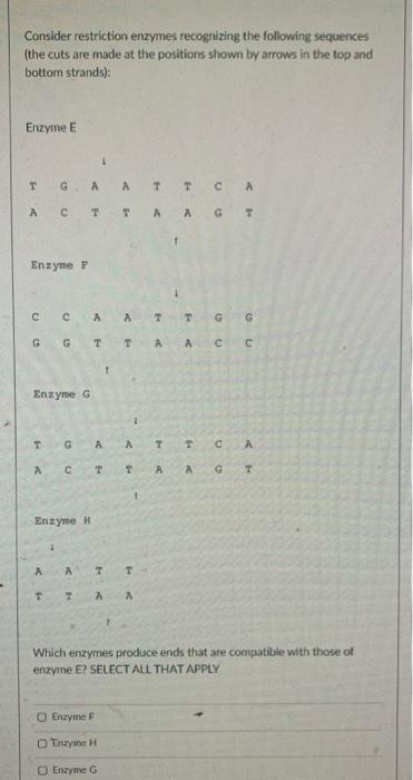 Solved Consider restriction enzymes recognizing the | Chegg.com