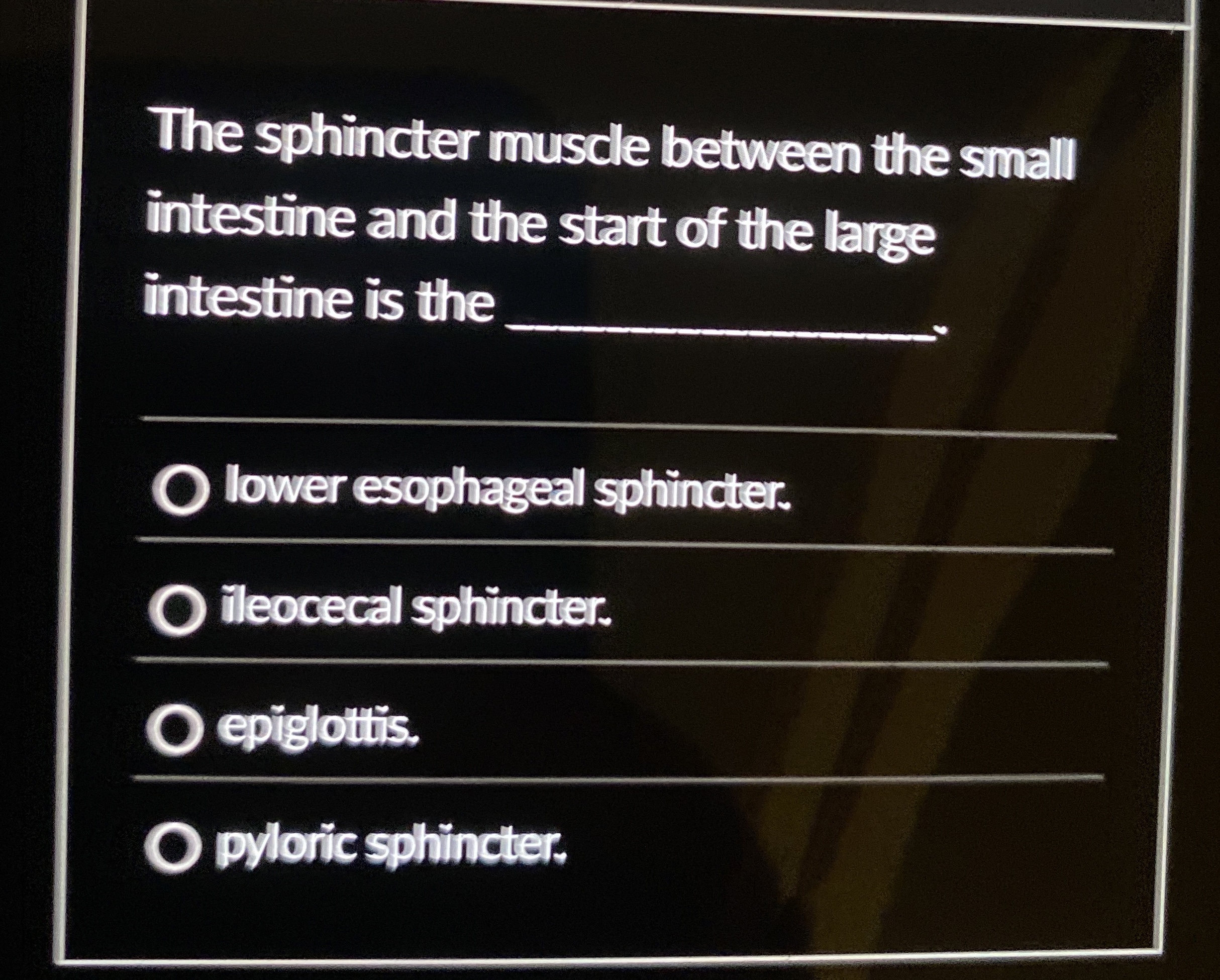 Solved The sphincter muscle between the small intestine and | Chegg.com