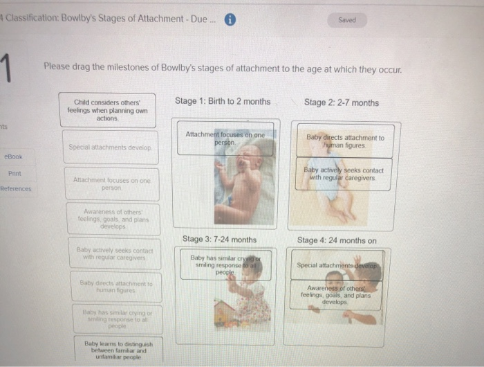 Solved 4 Classification: Bowlby's Stages of Attachment - | Chegg.com