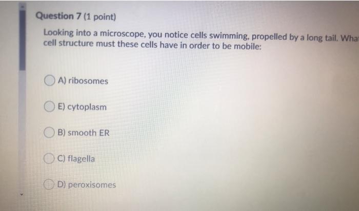 Solved Question 7 (1 point) Looking into a microscope, you | Chegg.com