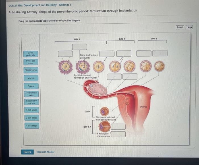 Solved Question | Chegg.com