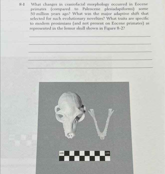 Solved What changes in craniofacial morphology occurred in | Chegg.com