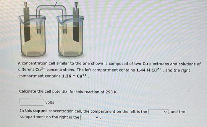 Solved A concentration cell similar to the one shown is | Chegg.com