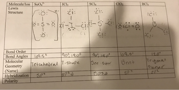 Solved Se0% ICI; SCIA CIO BCI, Molecule/Ion Lewis Structure | Chegg.com