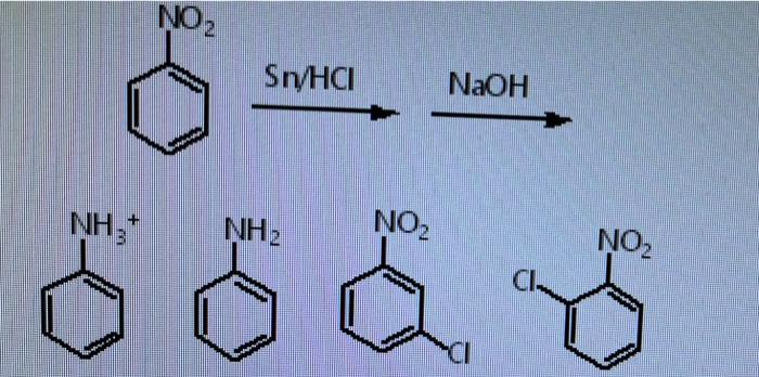 Solved NO2 Sn/HCI NaOH NH: NH2 NO2 NO2 & for H30+ heat O | Chegg.com
