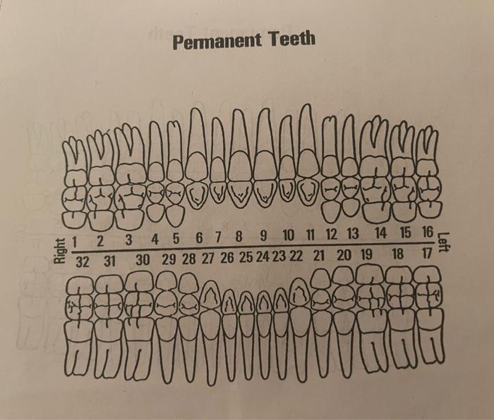 Solved CHARTING EXERCISE \#5 DO NOT WRITE IN THIS BOOKLET | Chegg.com