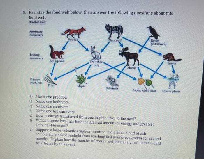 Solved 5. Examine the food web below, then answer the | Chegg.com