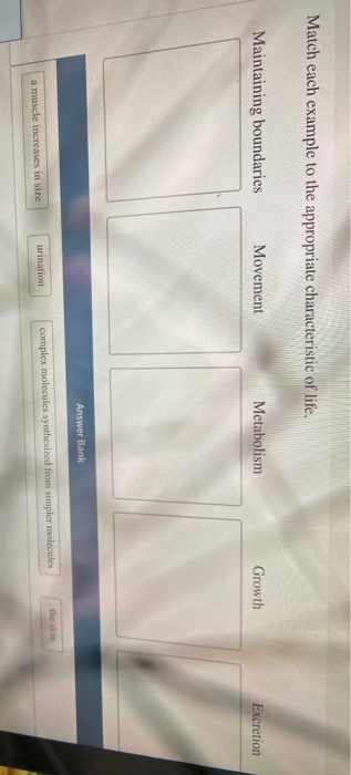 Solved Match each example to the appropriate characteristic | Chegg.com