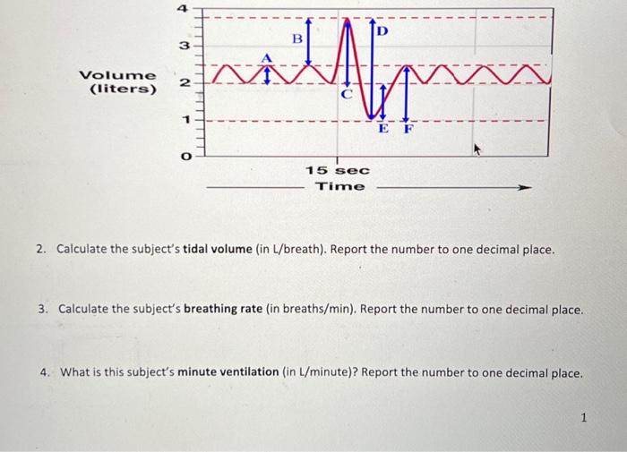Solved 2. Calculate the subject's tidal volume (in L/ | Chegg.com