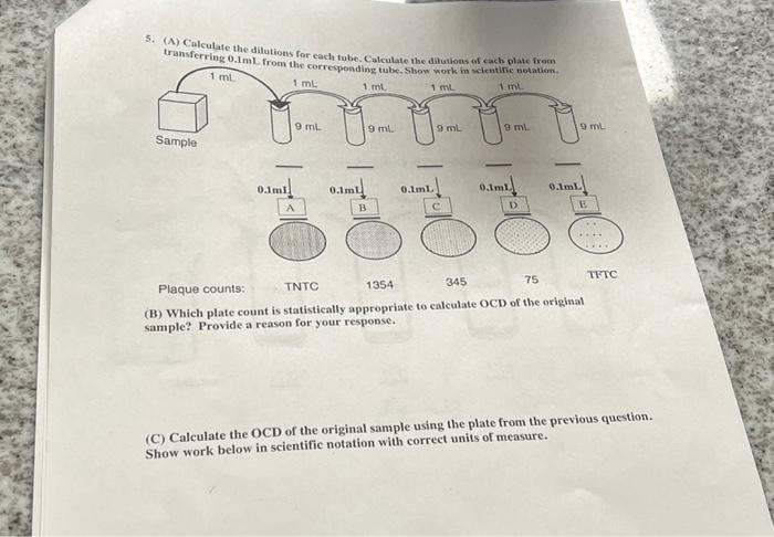Solved 5. (A) Calculate the dilutions for each tube. | Chegg.com