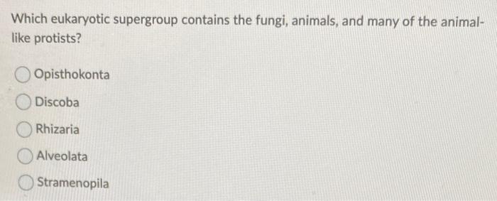 Solved Which eukaryotic supergroup contains the fungi, | Chegg.com