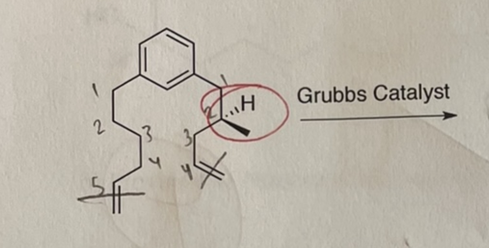 Solved Grubbs catalyst question.If you can also make an | Chegg.com