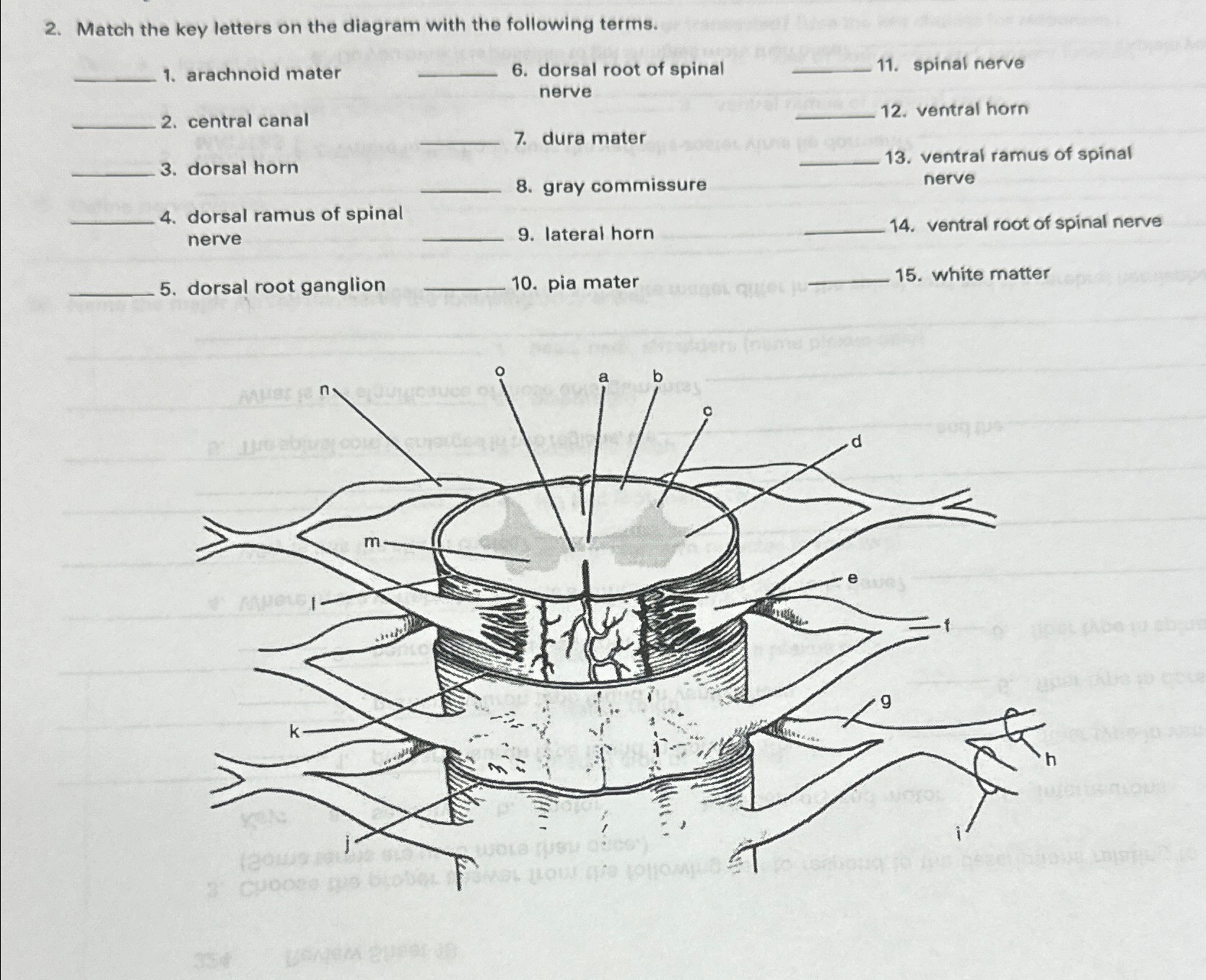 Solved Match the key letters on the diagram with the | Chegg.com