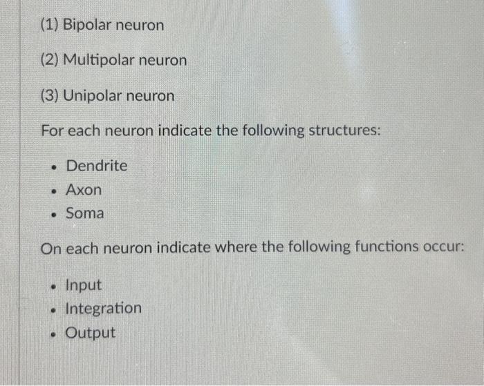 Solved On each neuron indicate where the following functions | Chegg.com