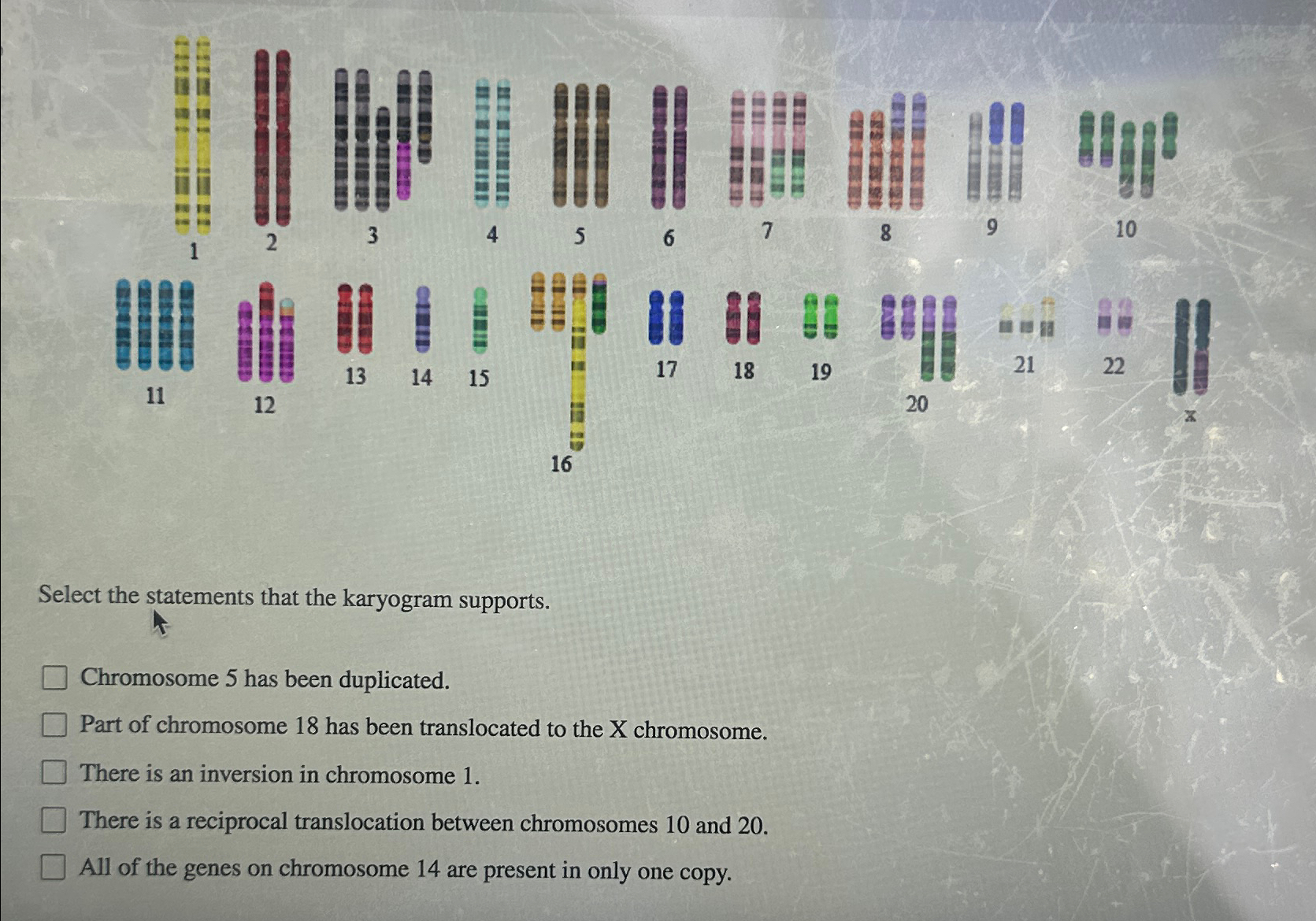 Solved 81 220xSelect the statements that the karyogram | Chegg.com
