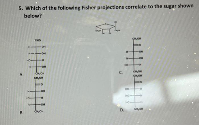 Solved 5. Which of the following Fisher projections | Chegg.com