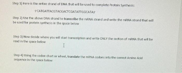 Solved Step 1) Here is the entire strand of DNA that will be | Chegg.com