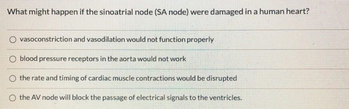 Solved What might happen if the sinoatrial node (SA node) | Chegg.com
