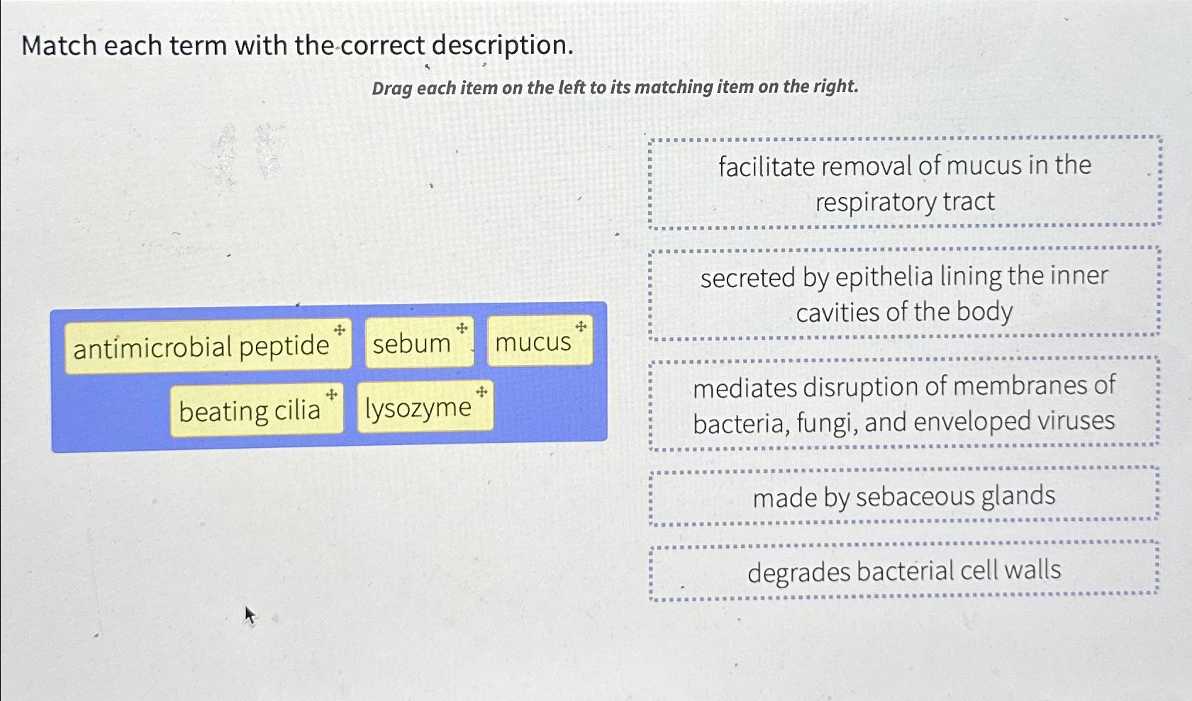 Solved Match each term with the correct description.Drag | Chegg.com