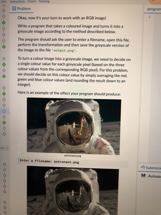 Solved Instructions Forum Tutoring program 1 OO Problem | Chegg.com