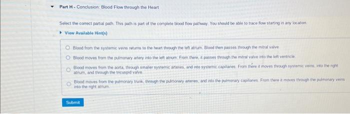 Solved Part H. Conclusion: Blood Flow through the Heart | Chegg.com