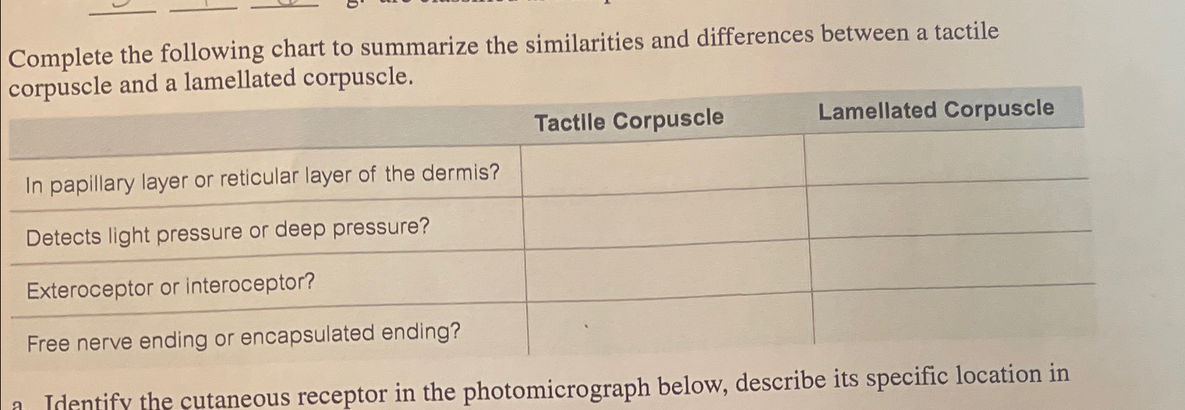 Solved Complete the following chart to summarize the | Chegg.com